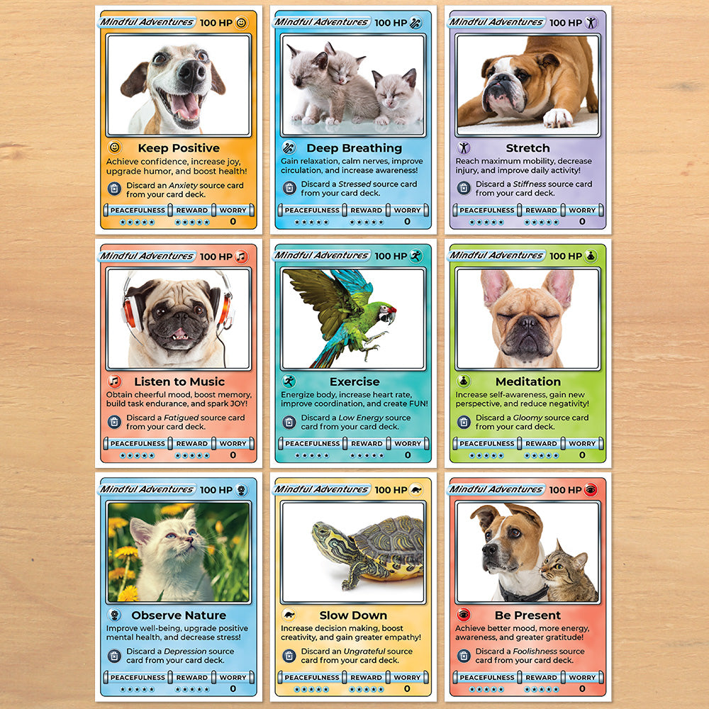 Mindful Adventures Pet Poster and Cards for Elementary School – ToucanEd