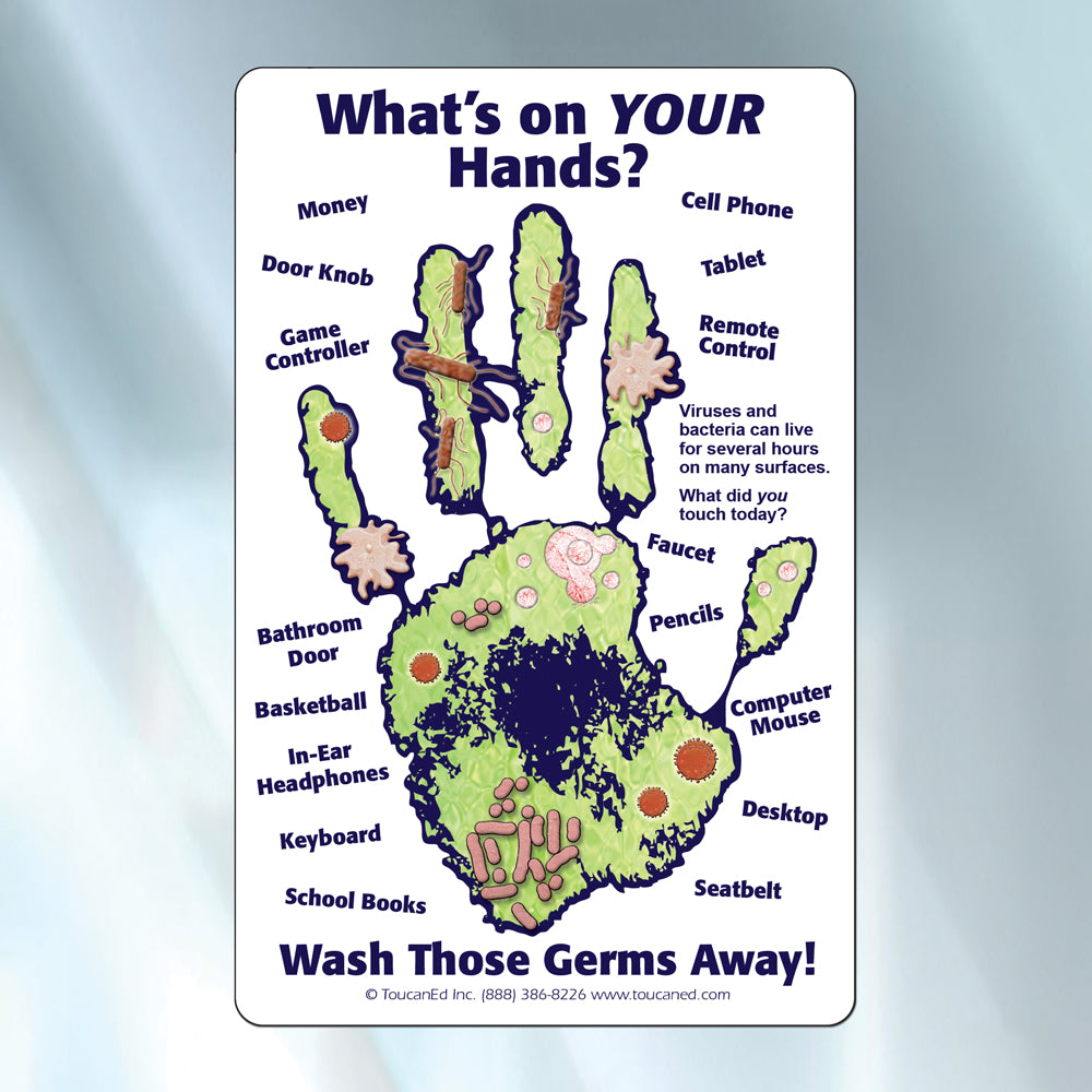 Handwashing – ToucanEd