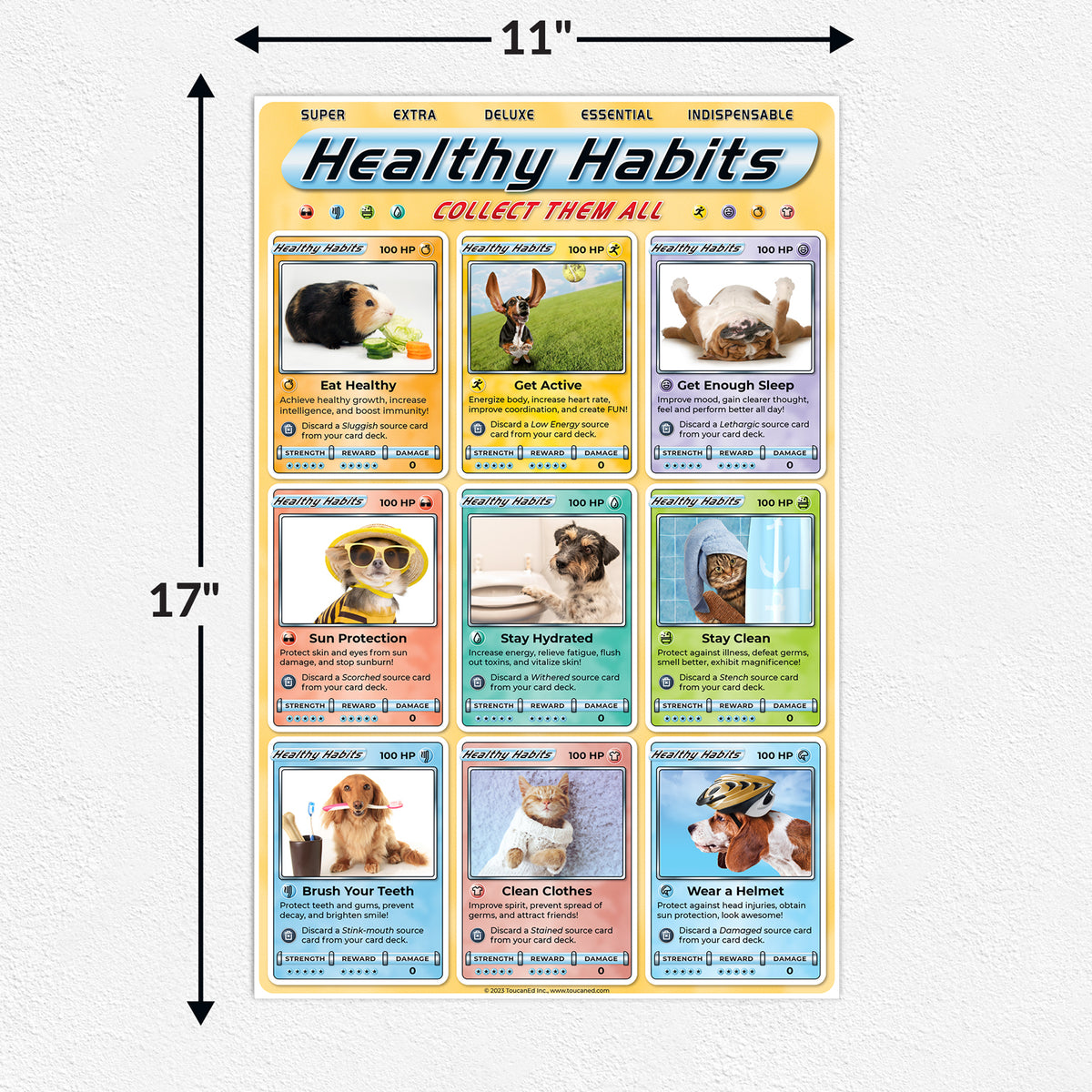 Healthy Habits Pet Poster and Cards for Elementary School – ToucanEd